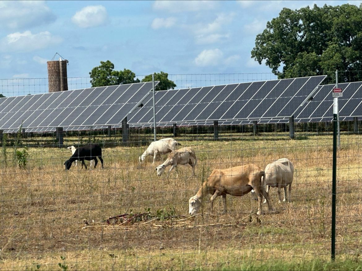 CPV Renewable Power - Competitive Power Ventures